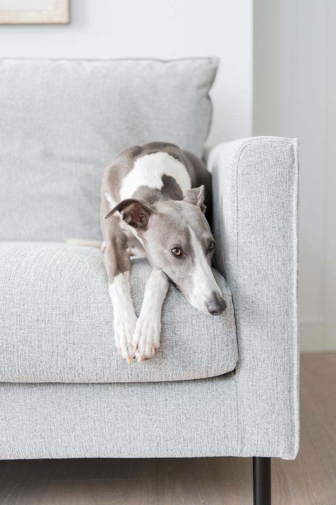 Lifestyle property photography of luxury Canary Wharf Apartments